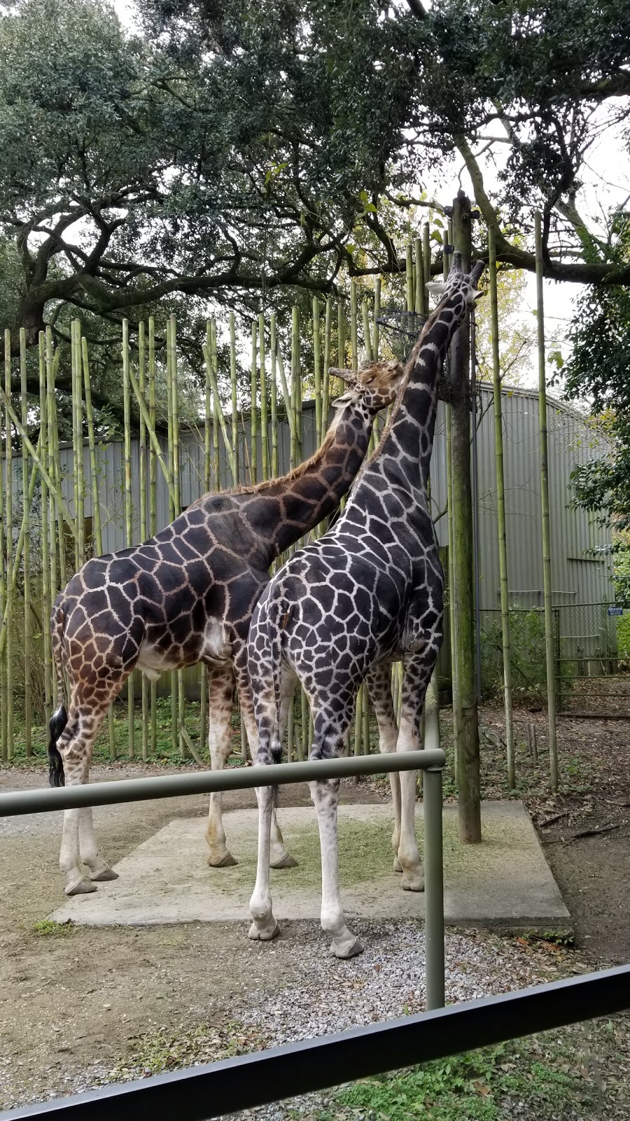Audubon Nature Institute - WhiteWater